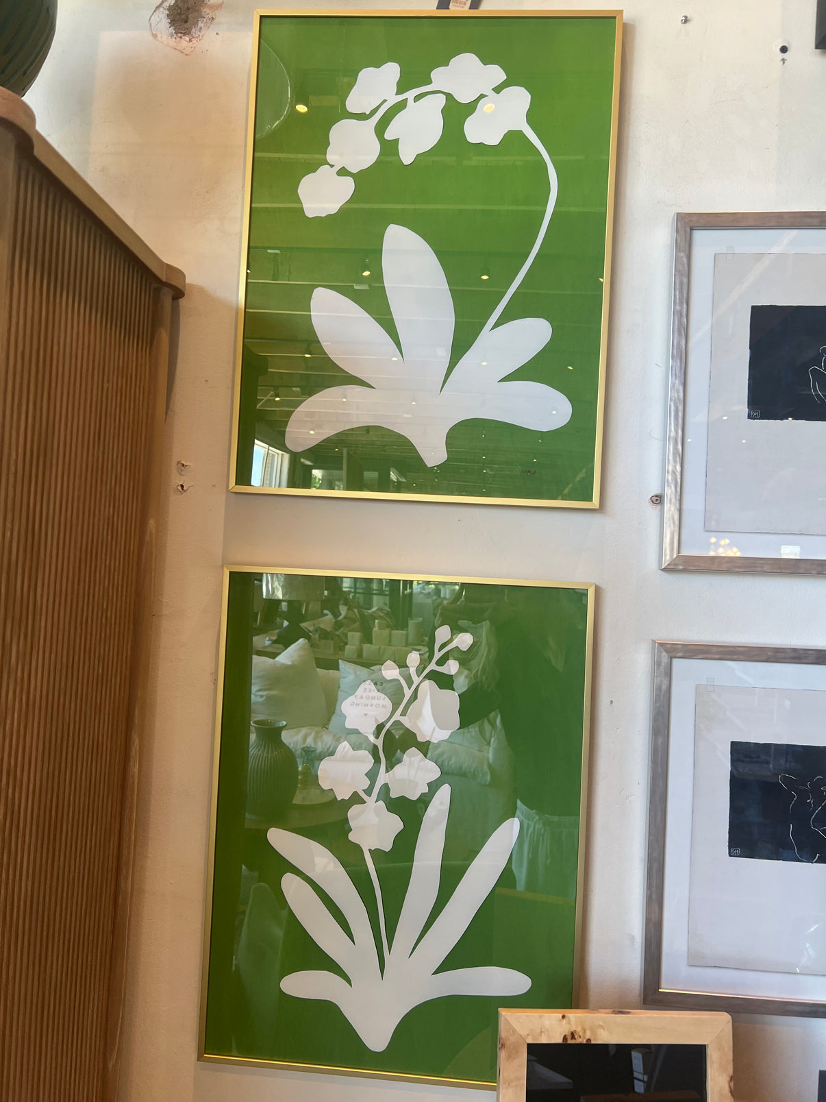 Orchid Studies – TA Lorton