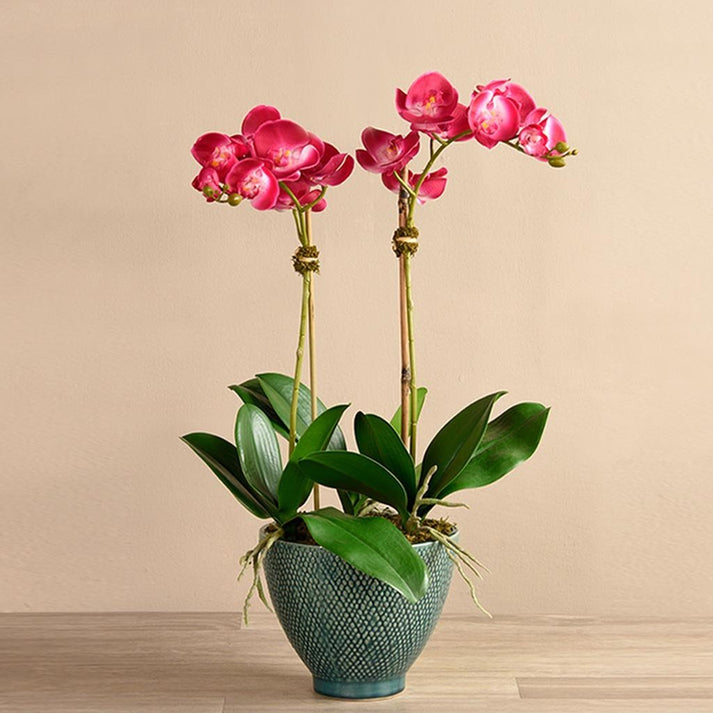 Rustic Orchid Arrangement – TA Lorton
